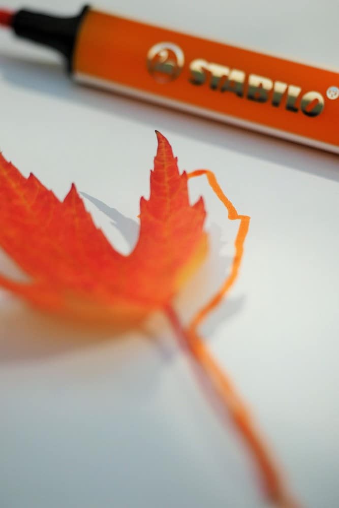 Mit STABILO Trio Scribbi den Herbst gestalten | Mama mal 3